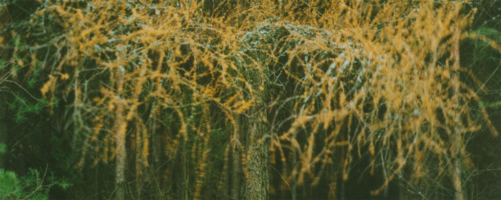 Rastros - Fotografias de Roberto Frankenberg - Museu Judaico de São Paulo